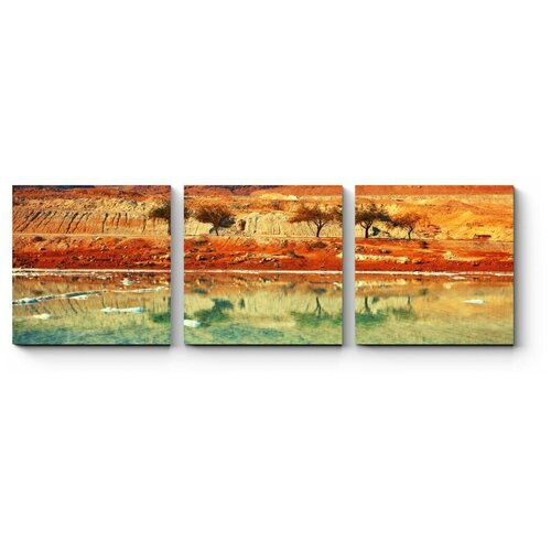 Модульная картина Мертвое море 110x37