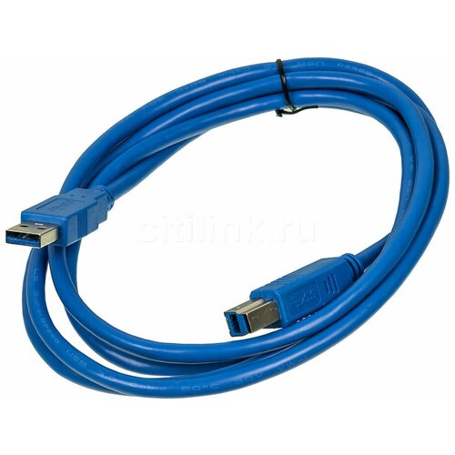 Кабель USB3.0 Buro USB A(m) - USB B(m), 1.8м, синий [usb3.0-am/bm]