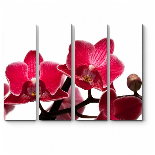 Модульная картина Магия орхидей 150x113