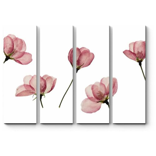 Модульная картина Сухие цветы 60x45