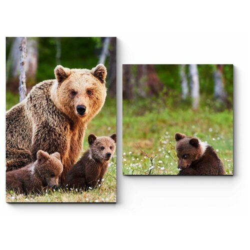 Модульная картина Семья очаровательных медведей 70x53