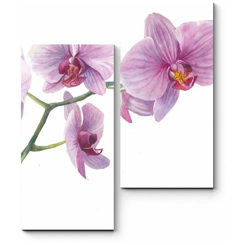 Модульная картина Ветка чудесной орхидеи 100x125