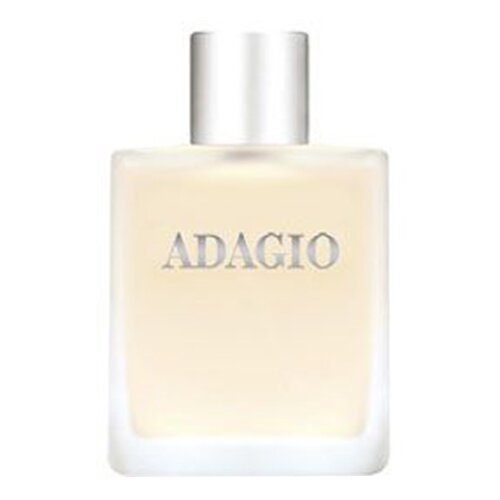 Dilis Parfum туалетная вода Adagio, 100 мл, 350 г