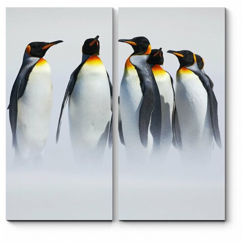 Модульная картина Королевские пингвины гуляют 90x90