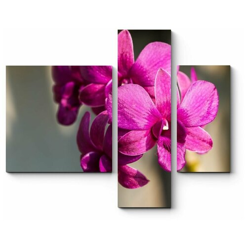 Модульная картина Королева цветов - прекрасная орхидея 130x107
