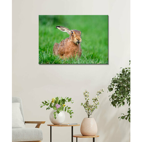 Картина - Заяц, зайцы, зайчонок, зайка, ушастый заяц, пушистый заяц, заяц в поле, шустрый заяц (30) 60х80
