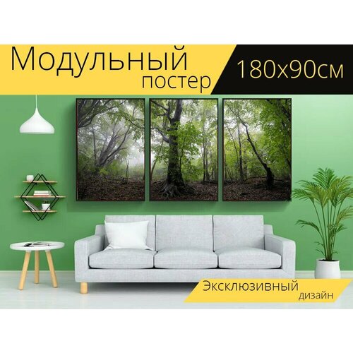 Модульный постер "Лес, густолиственные леса, туман" 180 x 90 см. для интерьера