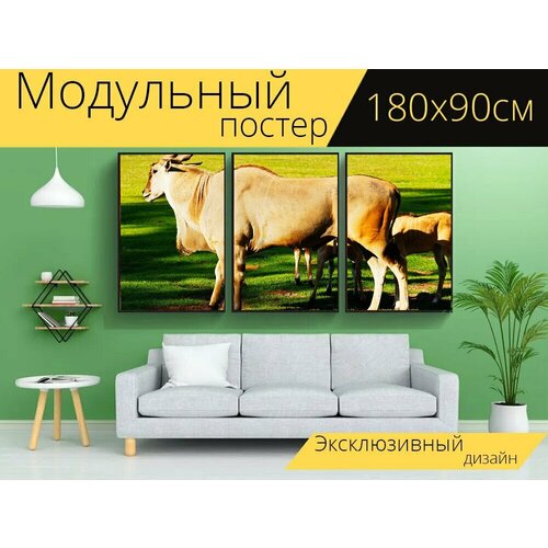 Модульный постер "Канна, антилопа, животные" 180 x 90 см. для интерьера
