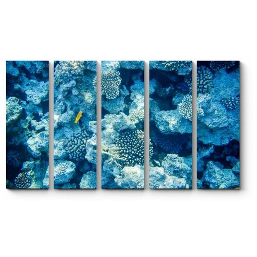 Модульная картина Коралловые рифы 120x72