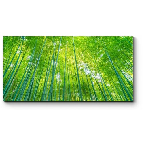 Модульная картина Бамбуковый лес 50x25