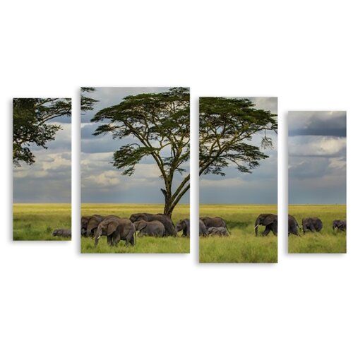 Модульная картина на холсте "Африканские слоны" 120x70 см
