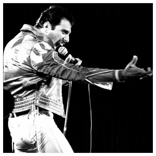 Плакат, постер на бумаге Freddie Mercury/Фредди Меркури. Размер 42 х 60 см