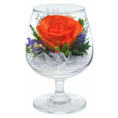 Композиция из оранжевых роз, GSRo, в подарочной упаковке / Цветы в стекле