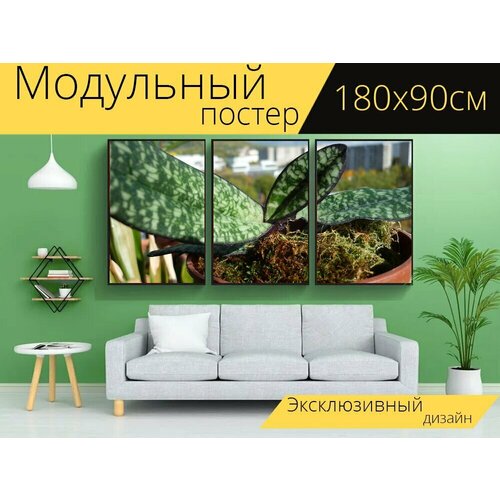 Модульный постер "Лист дембеля, орхидеи лист, орнамент" 180 x 90 см. для интерьера