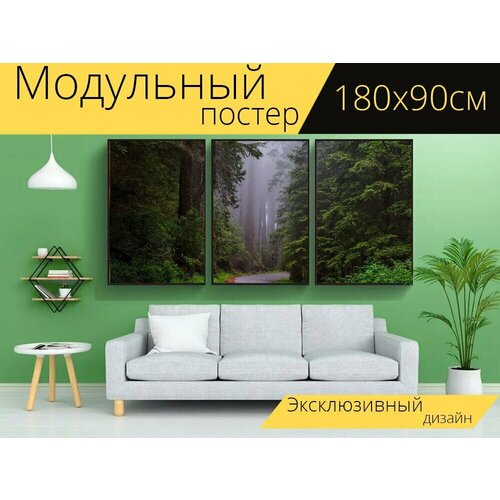 Модульный постер "Деревья, туман, улица" 180 x 90 см. для интерьера