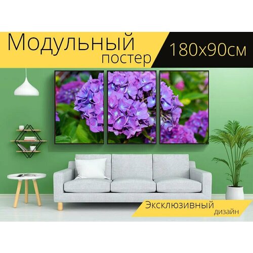 Модульный постер "Гортензия, расцветает, фиолетовый" 180 x 90 см. для интерьера