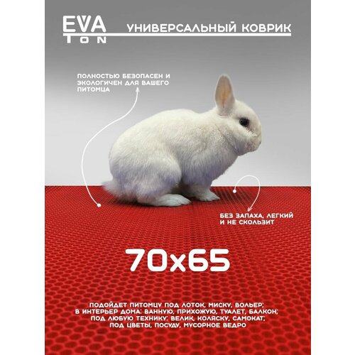 EVA Эва коврик универсальный без окантовки 70х65 см, для питомца, в ванную, прихожую, туалет, балкон. Ева Эво ковер Соты красный