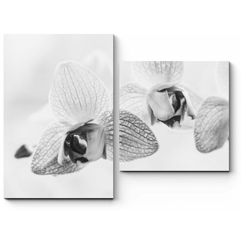 Модульная картина Черно-белые орхидеи 140x105