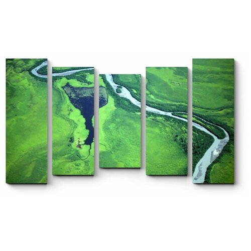 Модульная картина Зеленые поля и река с высоты птичьего полета110x66