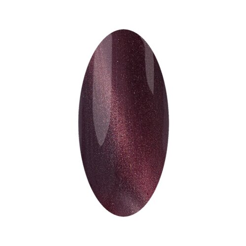 Irisk Professional Гель-лак Cat Eye, 10 г, 17