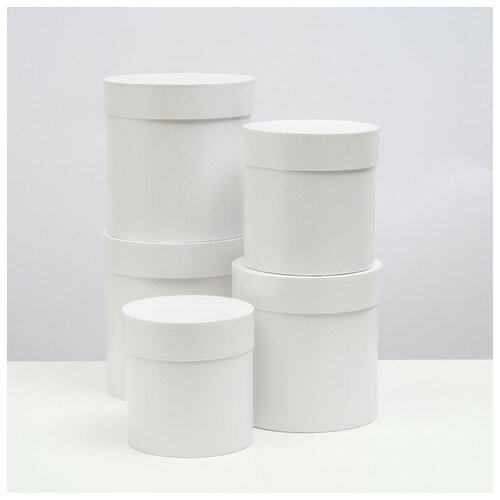 Набор шляпных коробок 5 в 1 "Белизна", 20 × 20 × 20 ‒ 13,5 × 13,5 × 13,5 см