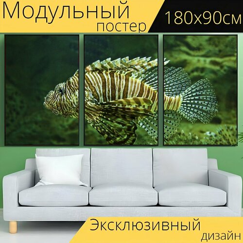 Модульный постер "Рыбы, аквариум, подводный" 180 x 90 см. для интерьера