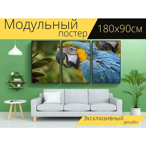 Модульный постер "Ара, попугай, тропический" 180 x 90 см. для интерьера