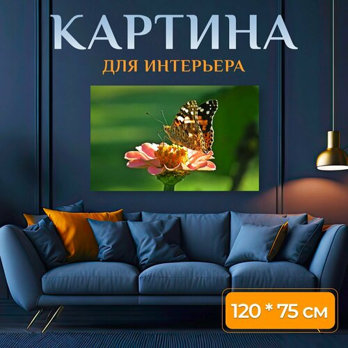 Картина на холсте "Бабочка, насекомое, цинния" на подрамнике 120х75 см. для интерьера