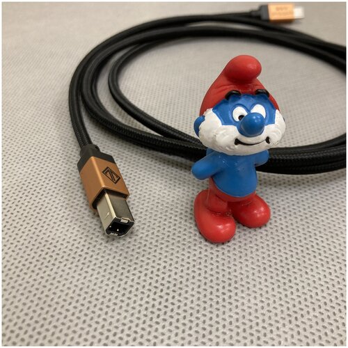 Кабель USB 3.1 Тип C - USB 2.0 Тип B Little Lab Lake USB Type C - Type B 5.0m