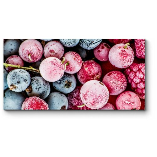 Модульная картина Ледяные ягоды 50x25