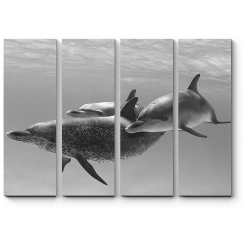 Модульная картина Трио пятнистых дельфинов100x75