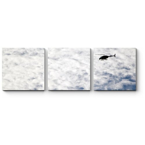 Модульная картина Летящий в облаках 110x37