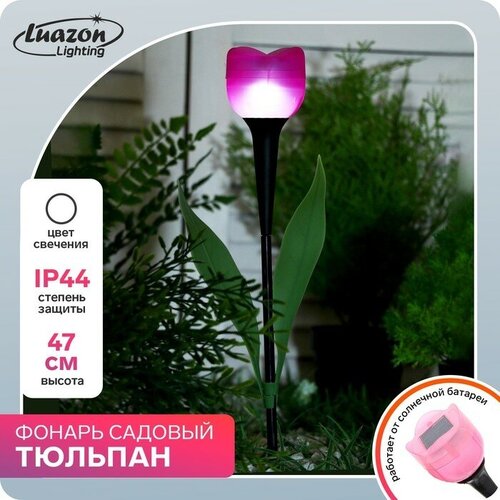 Luazon Lighting Садовый светильник на солнечной батарее «Тюльпан», 6 × 38 × 6 см, 1 LED, свечение белое