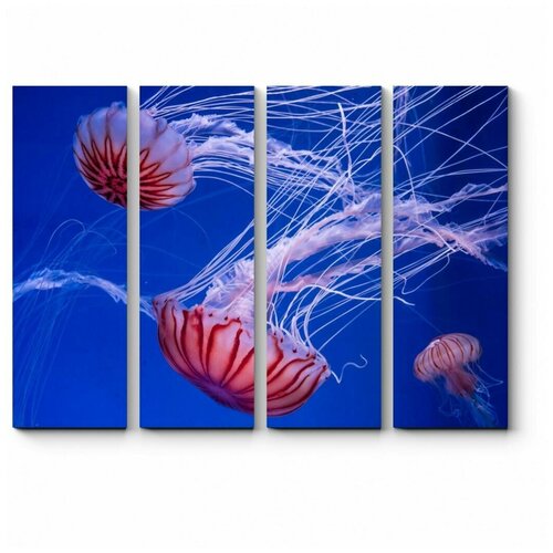 Модульная картина Чудесные медузы80x60