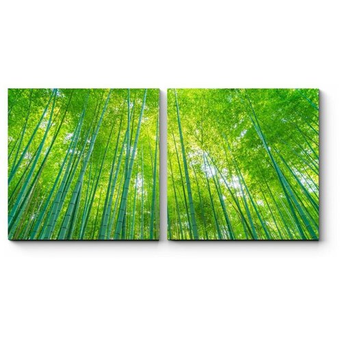 Модульная картина Бамбуковый лес 100x50
