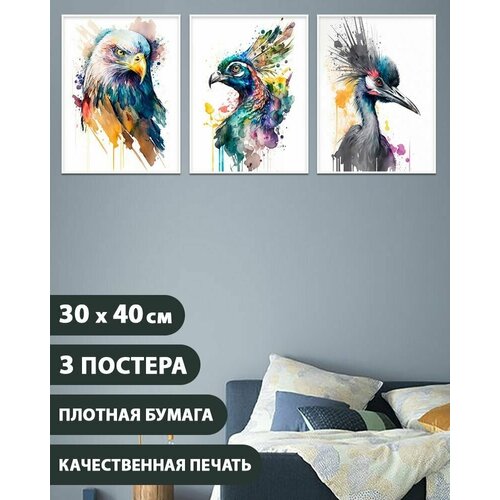 Постеры Акварельный портрет Птицы, абстракция, 40 см х 30 см, 3 штуки, в детскую, в гостиную, в спальню