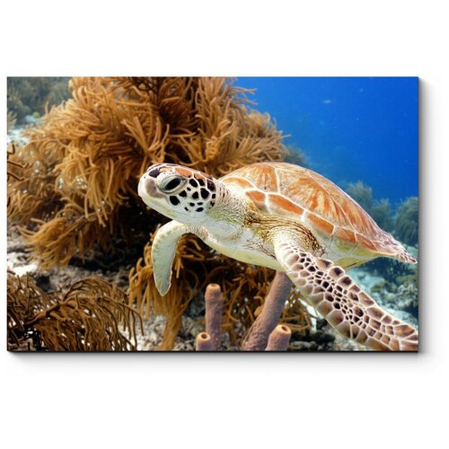 Модульная картина Черепаха, плывущая в коралловом рифе 60x40
