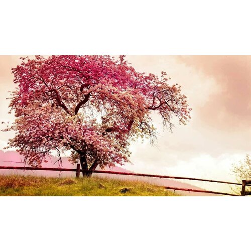 Картина на холсте 60x110 LinxOne "Spring pink tree blossom" интерьерная для дома / на стену / на кухню / с подрамником
