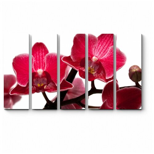 Модульная картина Магия орхидей 90x54