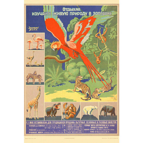 Плакат, постер на холсте СССР/ Отдыхая, изучайте живую природу в зоопарке. Размер 42 на 60 см