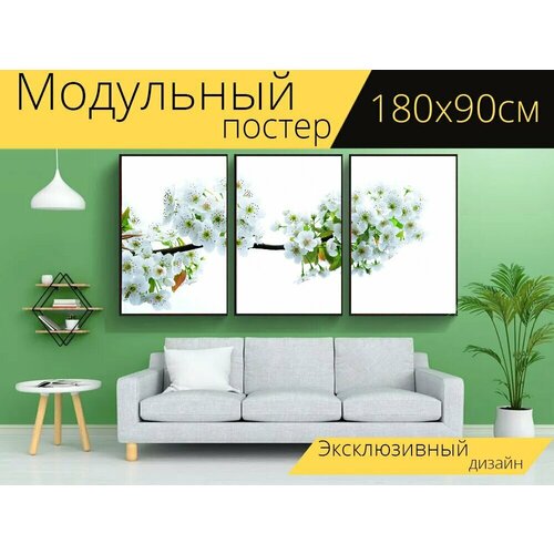 Модульный постер "Цветок груши, фруктовый сад, весна" 180 x 90 см. для интерьера