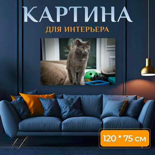 Картина на холсте "Кошка, китти, кошачий" на подрамнике 120х75 см. для интерьера