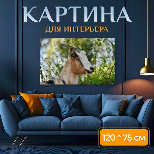 Картина на холсте "Коза, козел, козел имеет рога" на подрамнике 120х75 см. для интерьера