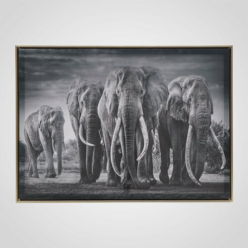 Картина -Панно на холсте "Слоны" в золотистой рамке 70*50 см
