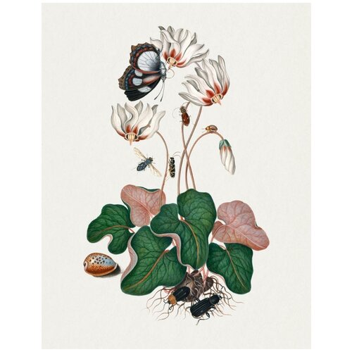 Постер / Плакат / Картина Бабочки - Бабочки и нежные цветы 40х50 см в раме