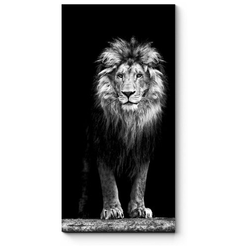 Модульная картина Портрет льва в темноте20x40