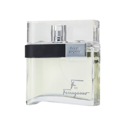 Salvatore Ferragamo туалетная вода F by Ferragamo pour Homme, 100 мл, 460 г