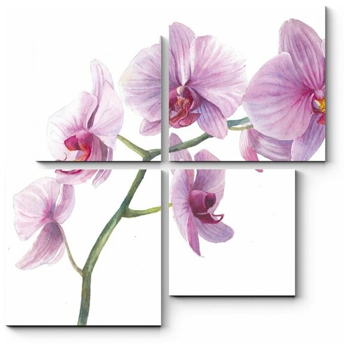 Модульная картина Ветка чудесной орхидеи 160x160