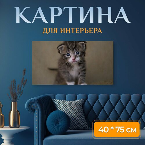 Картина на холсте "Котенок, кошка, детка" на подрамнике 75х40 см. для интерьера