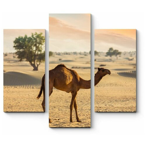 Модульная картина Верблюд, очарованный песками 70x63
